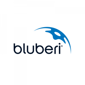 Bluberi Gaming Software and games for online casinos on BetAndSlots